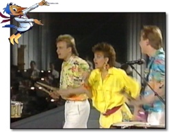 Boogaloo - info - Diggiloo Thrush